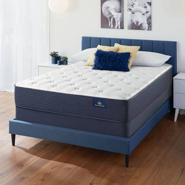 Serta perfect sleeper palm coast 12.5 inch plush mattress store